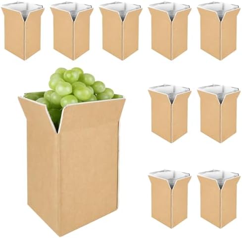 Amazon.com: MUXHEL 10 Pack Double Insulated Shipping Box with Aluminum ...