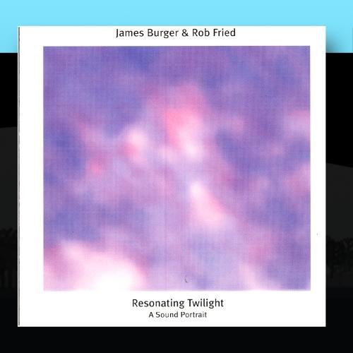 Amazon.com: Resonating Twilight: CDs & Vinyl