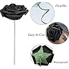 Amazon.com: Gankar Black Roses Artificial Flowers 25 pcs, Real Touch ...