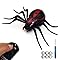 Amazon.com: Tipmant Mini RC Cockroach Toy Remote Control Roach Insect ...