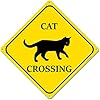 Amazon.com: Cat Xing Crossing Sign, 12 x 12 Inches Black Cat Sign ...