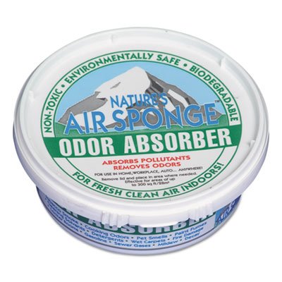Amazon.com: Nature's Air Odor-Absorbing Replacement Sponge DMI 101-1 ...