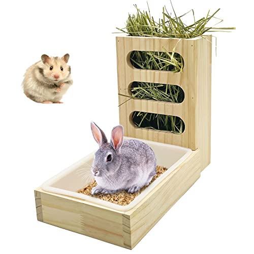 Hay Boxes – The 16 best products compared - Alternative Families