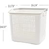Amazon.com: Tstorage 42 L Plastic Laundry Baskets with Handles, White ...