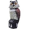 Amazon.com : Hedoc Fake Owl Decoys to Scare Birds Away, Rotating Head ...