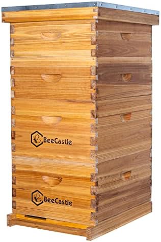 Amazon.com : BeeCastle 10 Frame Langstroth Bee Hive Coated with Beeswax ...