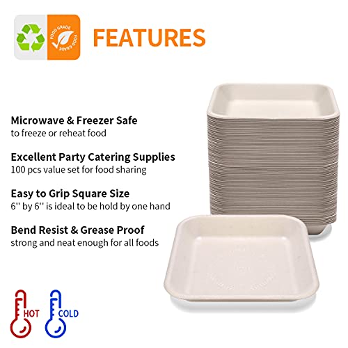 Snapklik.com : Celel 100 Pack 6 Inch Small Square Paper Plates