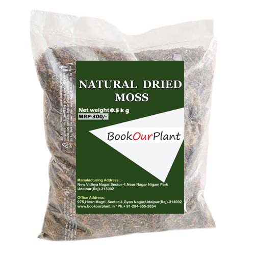 Natural Dried Moss (0.5 KG : Amazon.in: Grocery & Gourmet Foods