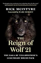 Amazon.com: The Rise of Wolf 8: Witnessing the Triumph of Yellowstone's ...