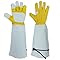 Amazon.com : GLOSAV Cactus Gloves, Garden Gloves for Women Men Thorn ...