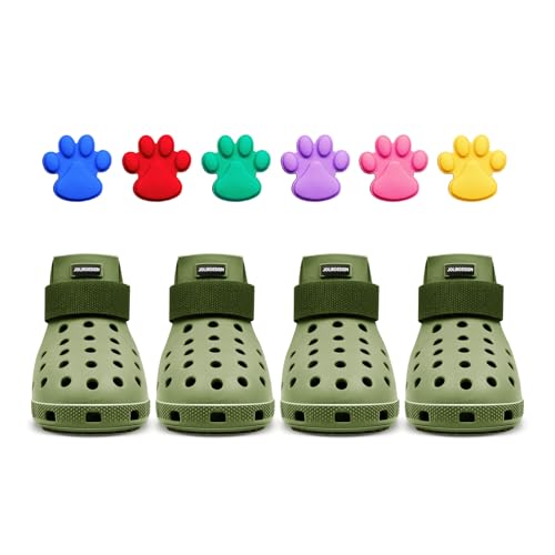 Dog Crocs – The 15 best products compared - Wild Explained