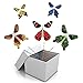 Amazon.com: BFY Magic Flying Butterfly Wind Up Toys for Card, Gag Gifts ...