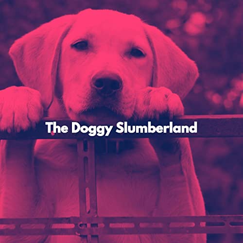 Play The Doggy Slumberland by Easy Listening Office Music on Amazon ...