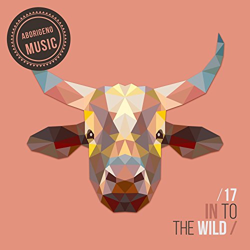 Amazon.com: In To The Wild - Vol.17 : VARIOUS ARTISTS: Digital Music