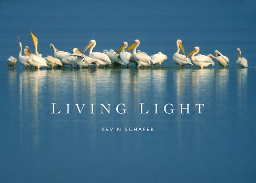 Living Light: Kevin Schafer, Kevin Schafer: 9780977898602: Amazon.com ...