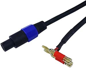 Amazon.com: Heavy Duty 12 Gauge Speaker Cable for PA DJ Speakers 6ft ...