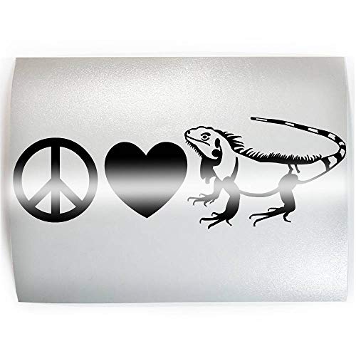 Amazon.com: PEACE LOVE IGUANA - PICK COLOR & SIZE - Reptile Lizard Pet ...