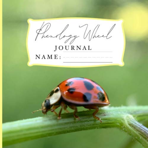 Phenology Wheel Journal: Nature Journaling Tablet for Children and ...