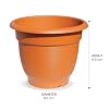 MILTON Blossom Mate 2 Round Planter, 1 Piece, Terracotta Brown, Indoor ...