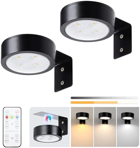 URTOM Plug in Picture Light Dimmable Art Lights for Paintings Remote ...