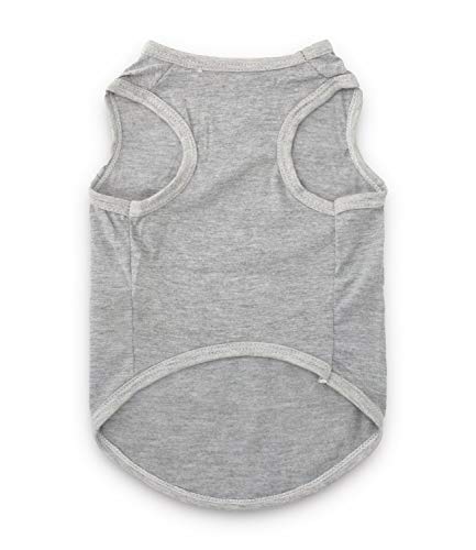 The 5 Best Furberry Dog Shirts of 2025 [Verified] - Cherry Picks