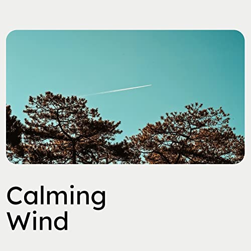 Amazon MusicでNature Calm, Swedish Forest Birds & Waterfall Soundsの ...