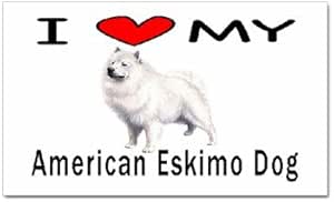 Amazon.com: I Love My American Eskimo Rectangular Magnet : Home & Kitchen