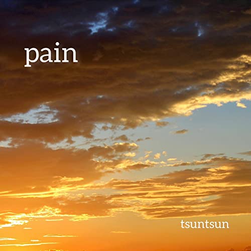 Amazon.co.jp: pain : tsuntsun: Digital Music