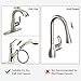 Moen 159560, Replacement Hose Service Kit for Moen Pullout Style ...