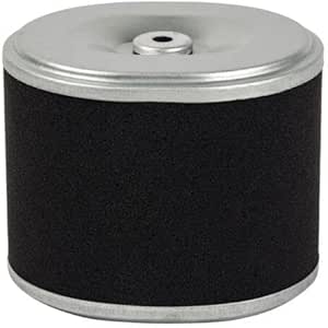 Amazon.com: Replace Parts for Machine Air Filter Cleaner for Simpson ...