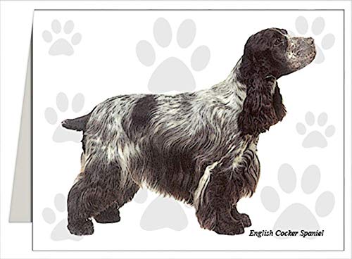 Amazon.com: English Cocker Spaniel Note Cards : Office Products
