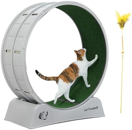 Cat Exercise Wheel 31.5" Cat Treadmill, Running Wheel for Indoor Kitty ...