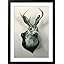 Amazon.com: ART.COM Wall Art Print Stuffed Jackalope, 12" x 18 ...