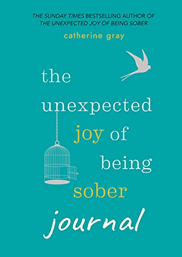 Amazon.com: The Unexpected Joy of Being Sober Journal eBook : Gray ...