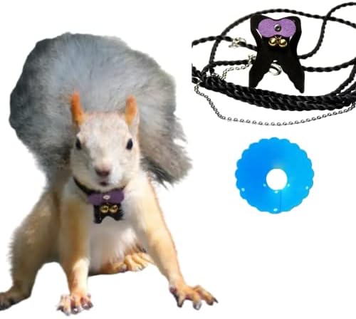 Amazon.com : Squirrel Traction Rope Strap Anti-Biting Chain Rope ...