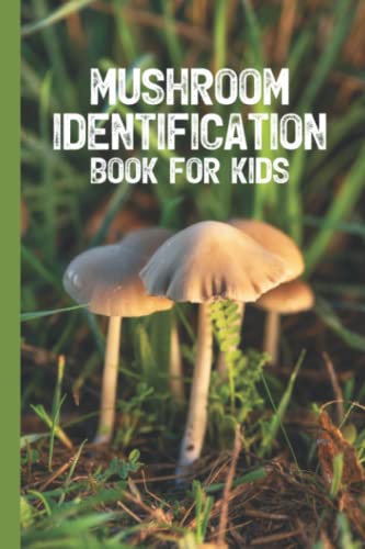 The 7 Best Children’s Books About Mushrooms for Facts, Encouragement ...