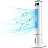 Amazon.com: COMFYHOME 2-in-1 43'' Evaporative Air Cooler & Tower Fan w ...
