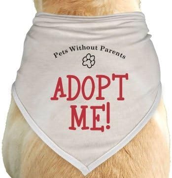 Amazon.com : Adopt Me! Bandana: Dog Bandana : Pet Bandanas : Pet Supplies
