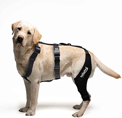 Amazon.com: Tailwindpets Dog Knee Brace with Harness and Connection ...