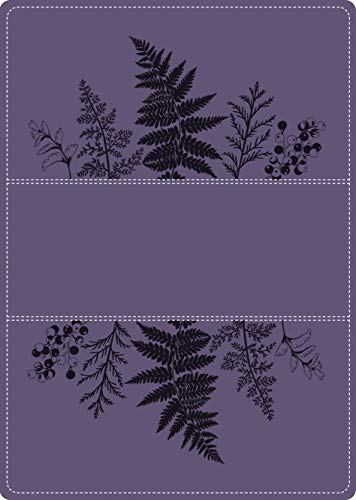 Mariah Colbert's Amazon Page