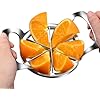 Amazon.com: Orange Slicer and Cutter - Stainless Steel Apple Slicer ...