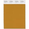 Pantone Smart 17-1048X Color Swatch Card, Inca Gold - Wall Decor ...