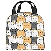 Amazon.com: Miaoquhe Cartoon Cat Lunch Box Cute Lunch Bags for Women ...