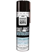 Amazon.com: RustKote - Rust Fighter Aerosol, 15oz, Corrosion Protection ...