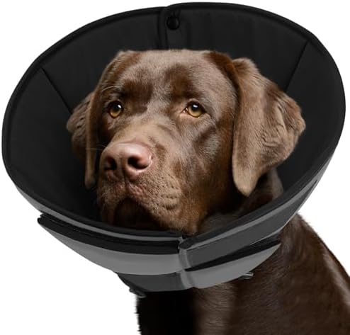 Amazon.com : Queenmore Dog Cones for Large Dogs, Soft Dog Cone for ...