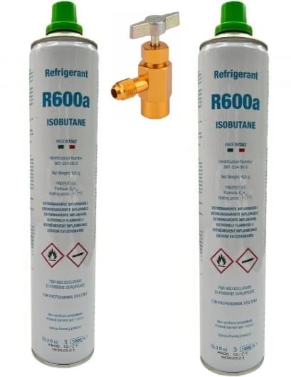 Lot de 2 bouteilles de gaz réfrigérantes R600A R600 420 g + robinet ...