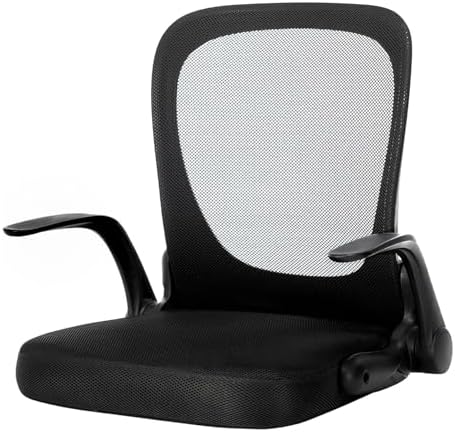 Amazon.com: Chairist Floor Chair with Back Support, Ergonomic Floor ...