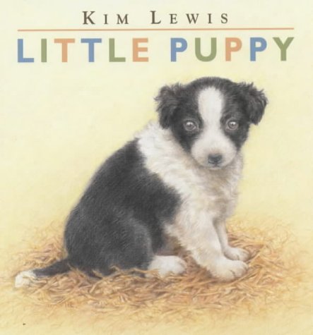 Little Puppy Board Book : Lewis Kim: Amazon.co.uk: Books