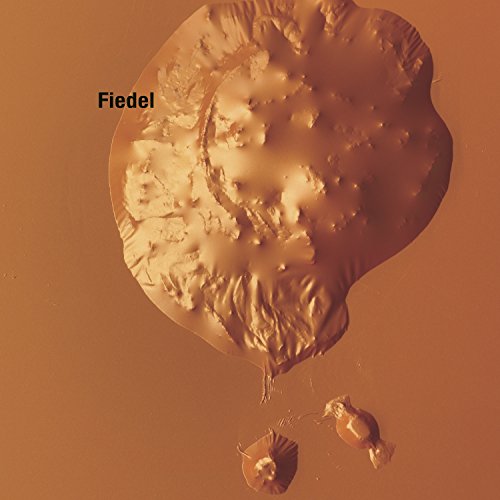 Amazon.com: Substance B : Fiedel: Digital Music