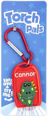 Personalised Torch Pals – Connor – BigaMart